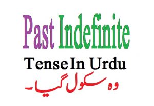 Past Indefinite Tense In Urdu | Lunar Computer College